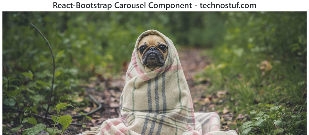 React Bootstrap Carousel Component Example Technostuf